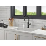 Delta 19868Lf Nicoli 1.8 GPM Single Hole Pull Down Kitchen Faucet ...