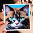 3drose, Cool Ragdoll Cat Face, Blue Eyes. Family Friendly Digital Art ...