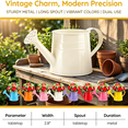 ACDANC White Watering Can,1 Gallon Matte Galvanized Metal Watering Can ...