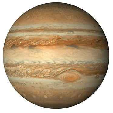 Don't Tread on Me Edible Cake topper-1/4 Sheet - Walmart.com