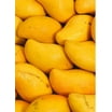 Malika Dwarf Cold Hardy MANGO TREE GRAFTED (2-4 Feet Tall) - Walmart.com