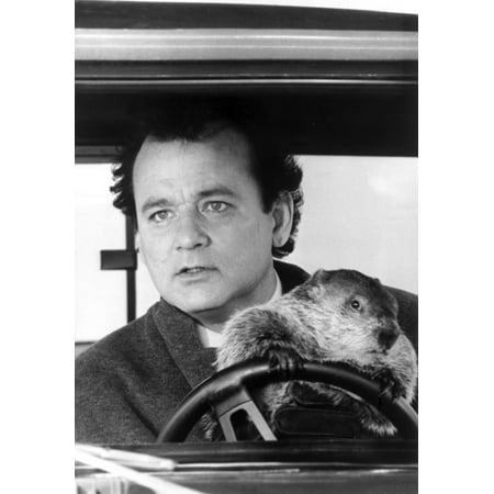 Film still of Bill Murray driving a car with a beaver Photo Print (24 x ...