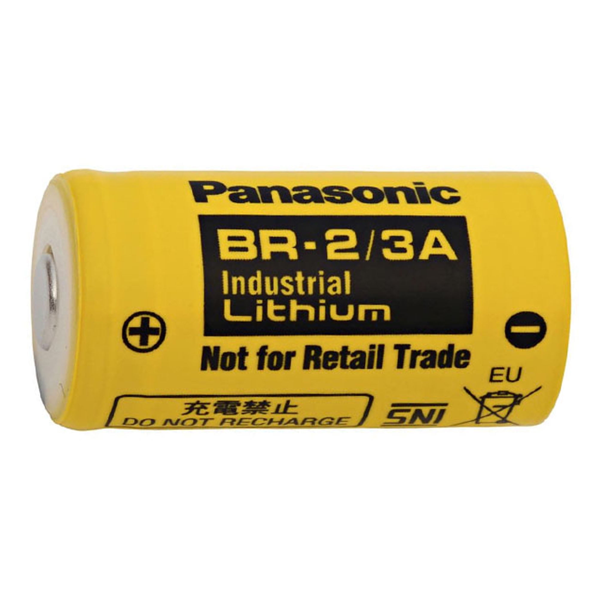Panasonic BR-2/3A Industrial Lithium Battery | Walmart Canada