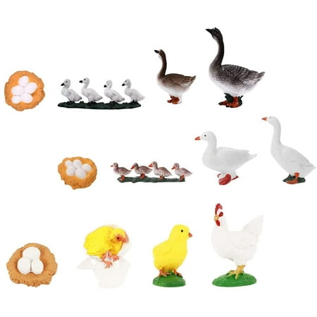 IGUOHAO 3 Sets Life Cycle Model Figures of Rooster Goose Duck Animal ...