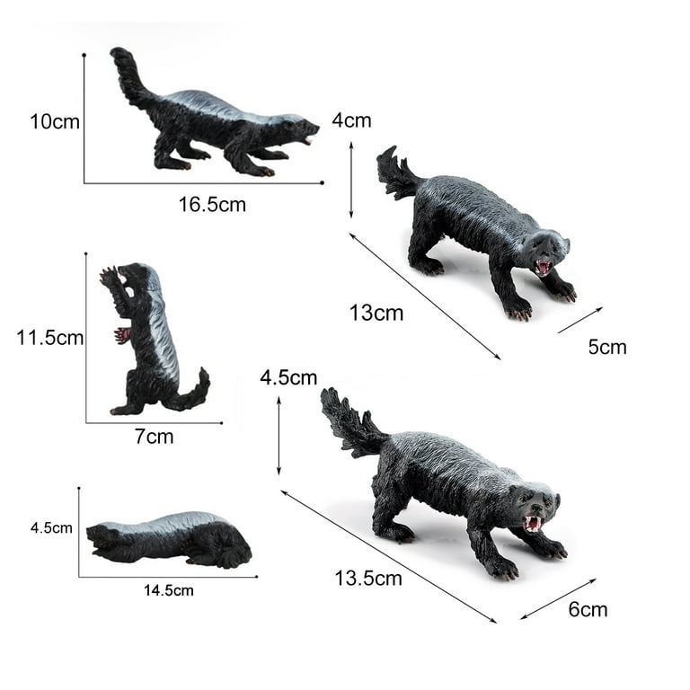 Pet Honey Badger