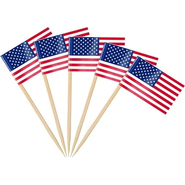 2 Boxes of Mini Texas Toothpick Flags, 200 Small Texan TX Flag ...