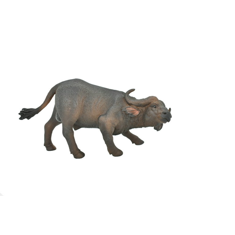 Buffalo Pictures For Kids