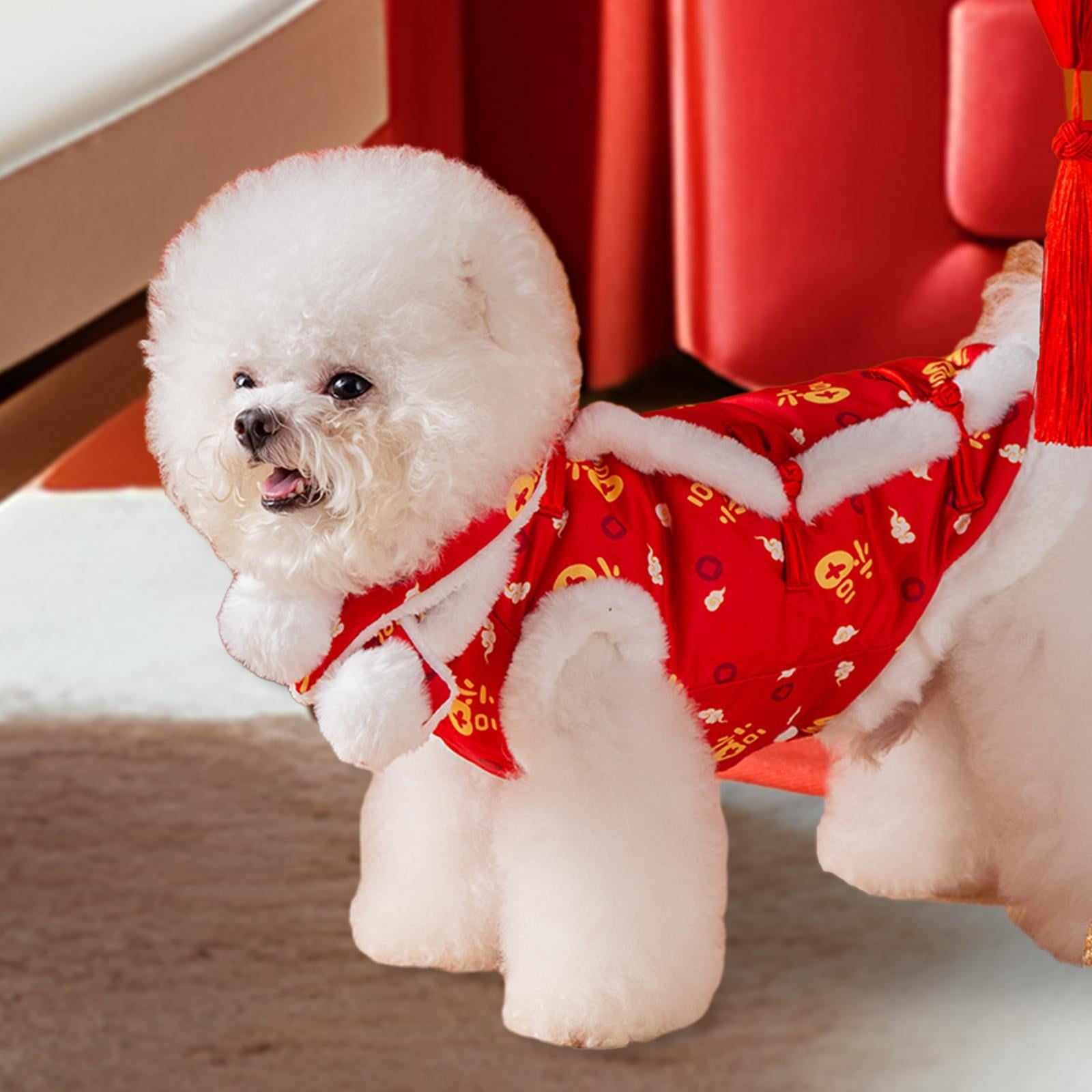 Traje Tang para perro Fernando disfraz suave con bufanda ropa de ...