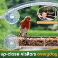 Window Bird Feeder with Suction Cups - (Upgraded 2026 Model) Clear ...