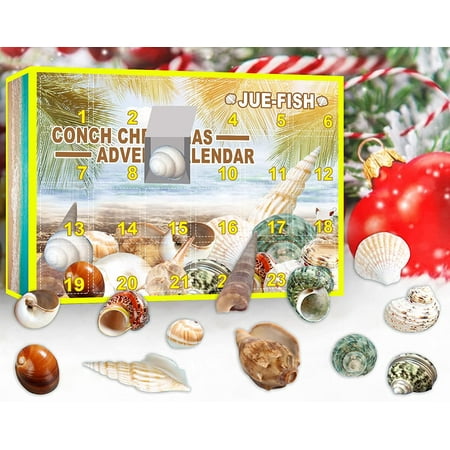 Christmas Countdown 24 Days Conch Blind Box, Conch Christmas Advent ...