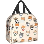 Bento Box Dog