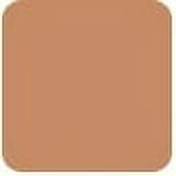 Elizabeth Arden Pure Finish Mineral Powder Foundation SPF20 (New ...