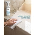 Scale Remover Bathroom Cleaner, 3.38OZ Bathroom Cleaner Foam Spray for ...