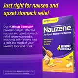 Nauzene Upset Stomach & Nausea Relief Chewables with Ginger Honey ...