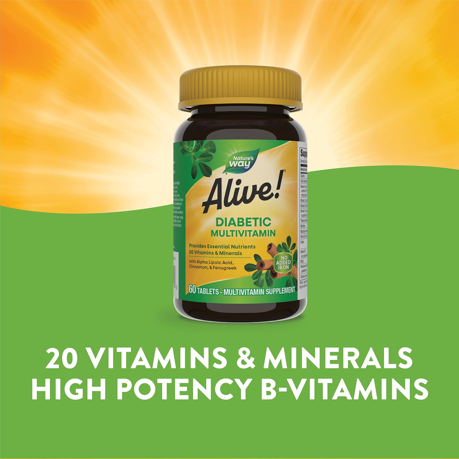 Alive! Diabetic Multivitamin, Nutritional Support for Adults with ...