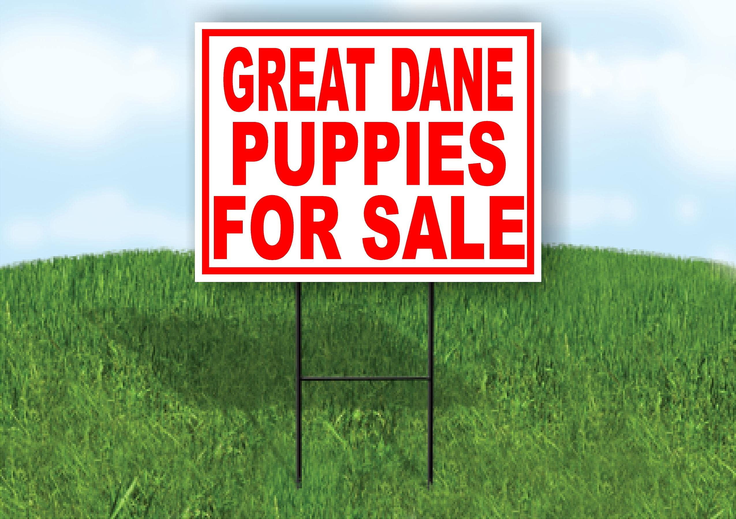 Work House Signs Single Sided Sign Great Dane Puppies for Sale RED Yard ...