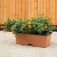 EarthBox Container Gardening System - Terra - Walmart.com