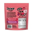 THE FROOT THIEF Real Fruit Whips, Strawberry and Mixed Berry, Vegan ...
