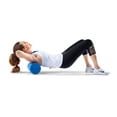 ProForm 18” High-Density Massage Foam Roller with Recovery Exercise ...