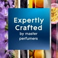 Glade Jar Candle 2 Ct Exotic Tropical Blossoms 6 8 Oz Total Air glade-jar-candle-2-ct-exotic-tropical-blossoms-6-8-oz-total-air