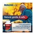 MagniLife Leg & Back Pain Relief Quick Dissolving Tablets, 125 Count ...
