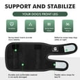 Dog Leg Braces for Front Hock Joint, Wrist Brace with Metal Spring ...