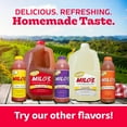 Milo’s Sweet Iced Tea and Lemonade, 100% Natural, 20 fl oz Bottle ...