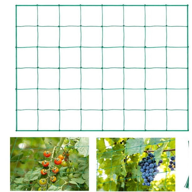 Climbing Plant Netting, Trellis Netting, for Harvesting Cucumbers ...