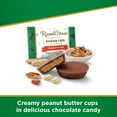 RUSSELL STOVER Sugar Free Peanut Butter Cup Chocolate Candy,(1PACK ...