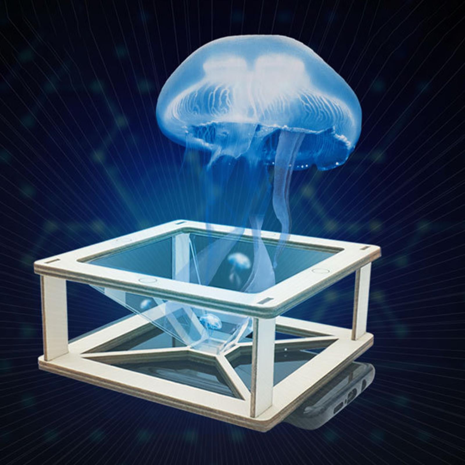 1 Set Student Educational Toys Holographic Model Science Teaching Tool 3D Hologram Stand Brain ...