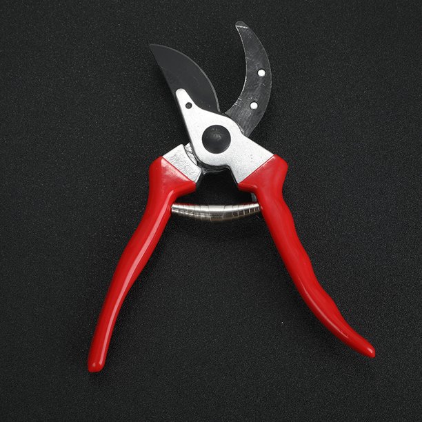 SHAR Secateurs (dimensions diameter 26mm, secateurs for big hands ...