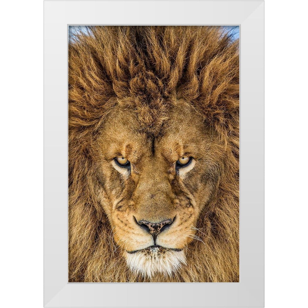 Centioli, Mike 23x32 White Modern Wood Framed Museum Art Print Titled ...
