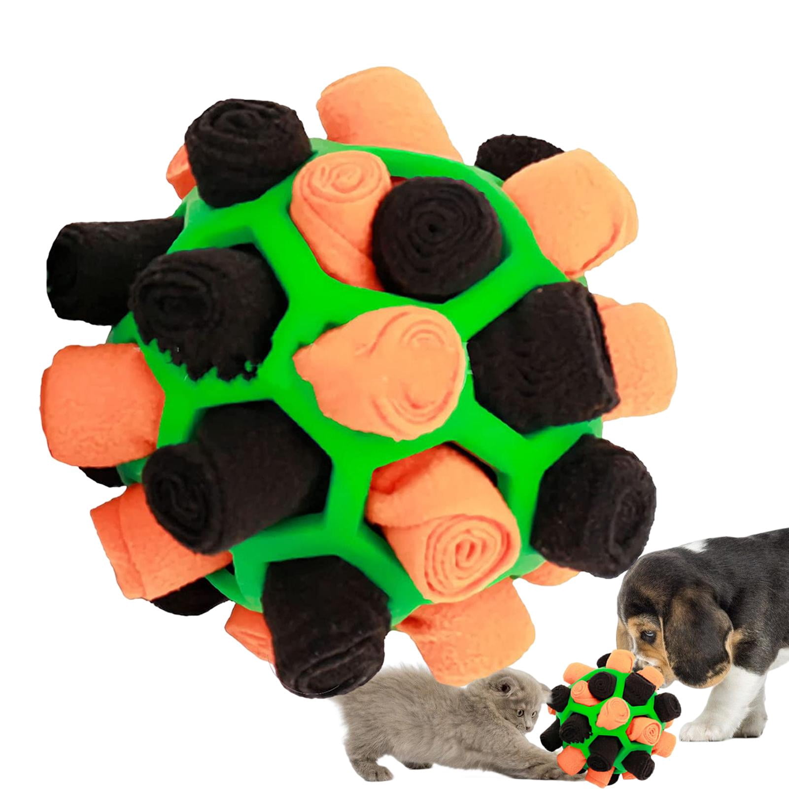 How To Train A Dog To Bring A Ball Back