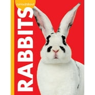 i just freaking love rabbits : rabbit cake, rabbit color, rabbit ears ...