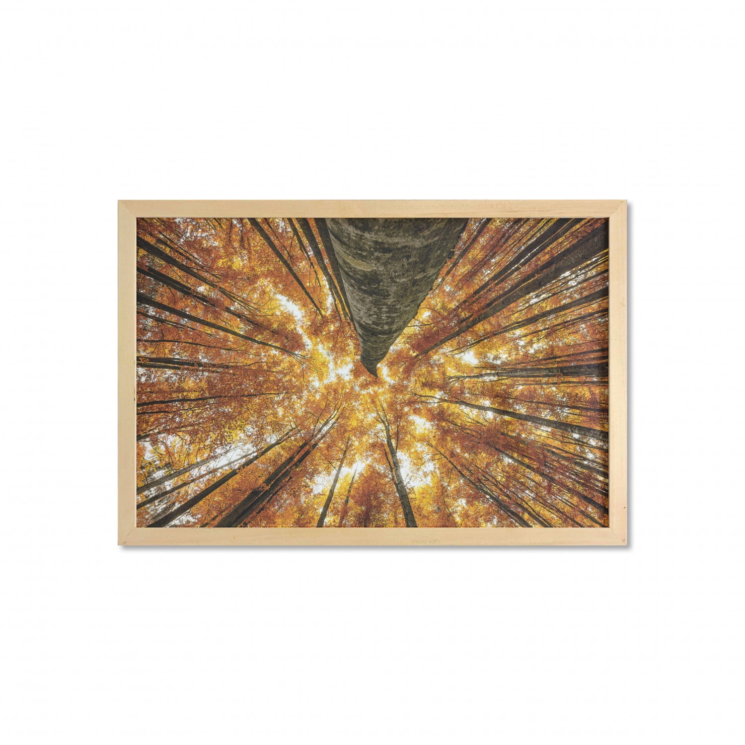 Forest Wall Art with Frame, Big High Beech Trees Deciduous Shedding ...