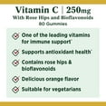 Nature's Bounty Vitamin C Immune Support Gummies, 250 Mg, 80 Ct ...