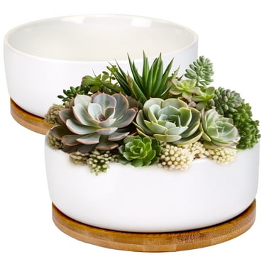 Ceramic Succulent Planter - 11" Long Rectangle Pot with Bamboo Tray ...
