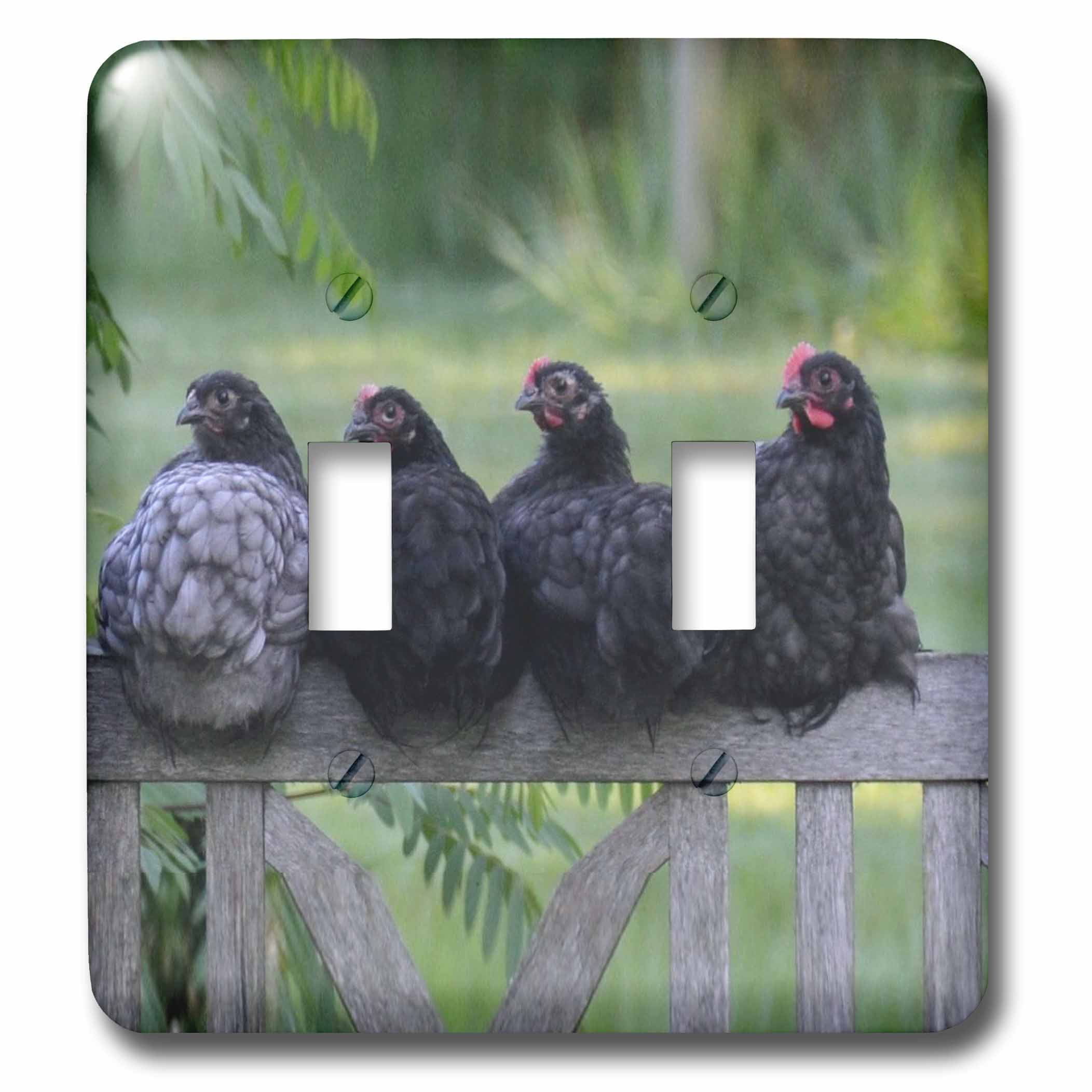 Black Chickens. double toggle switch lsp-333615-2 - Walmart.com