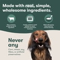 Jinx Homemades Single Serve Value Pack Wet Natural Dog Food, Grain-Free ...