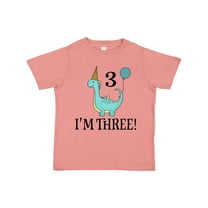 Tstars Paw Patrol Skye 3rd Birthday T-Shirt - Perfect Gift for 3-Year-Old Girls - Nickelodeon ...