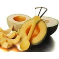 Melon Slicer and Seeder with Ergonomic Handle, Stainless Steel Blades ...