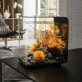 biOrb Lava Rock with Fire Coral Sculpture - Walmart.com