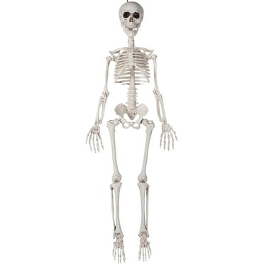 2.3ft/70cm Halloween Poseable Skeleton Realistic Human Full Body Bones ...