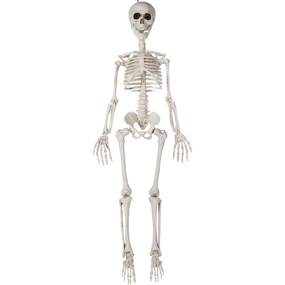 Poseable Skeleton