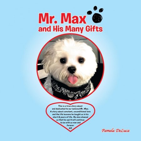 Mr. Max and His Many Gifts | Walmart Canada