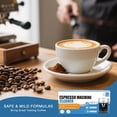 20 Count Coffee Machine Cleaning Tablets, Descaling, Backflush Oil ...