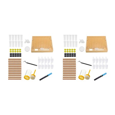 tssuouriy Efficient Queen Bee Rearing System Kit for Laying Eggs ...