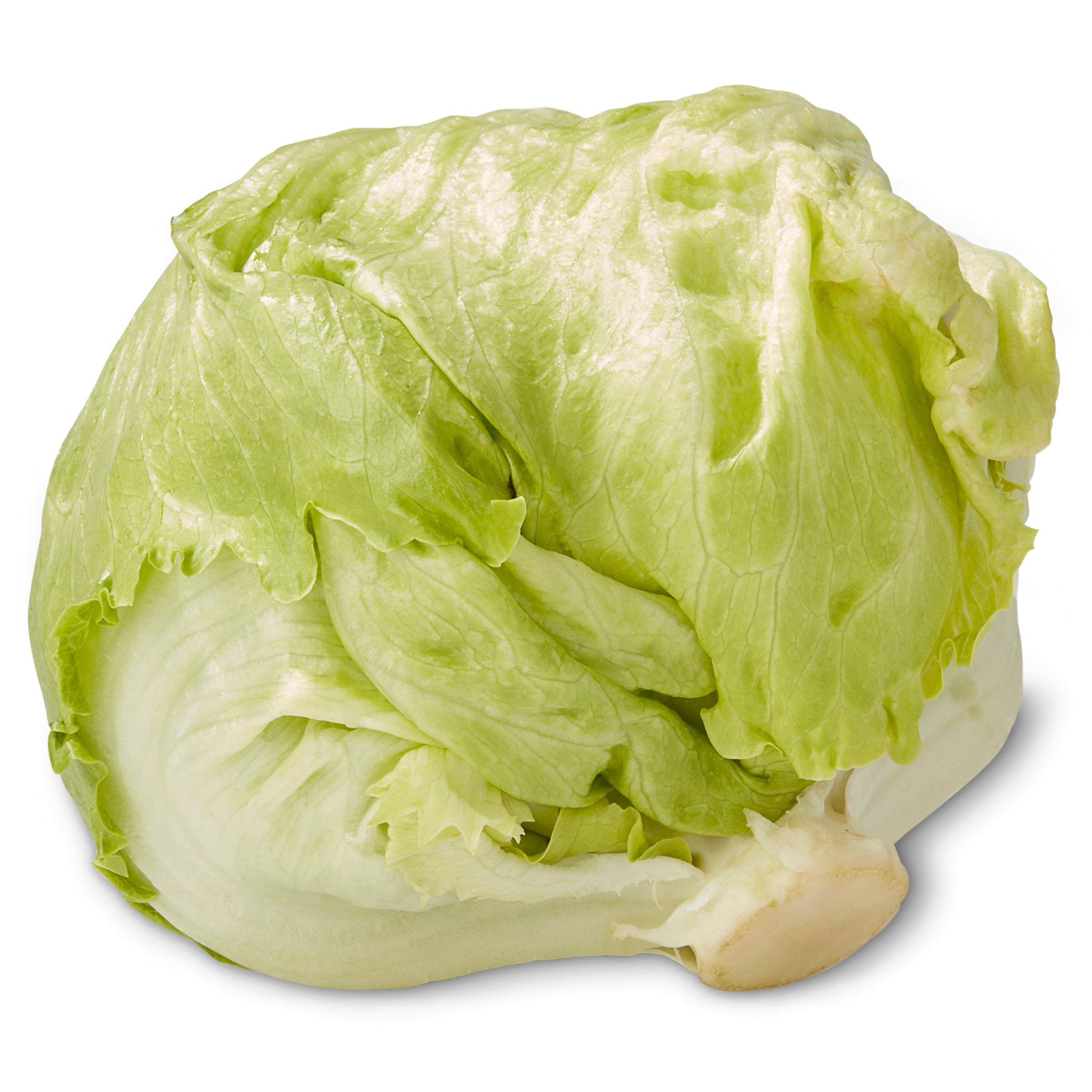 Can My Dog Eat Iceberg Lettuce