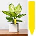 2 Inches Plastic Plant Tags Waterproof Nursery Garden Plant Labels ...