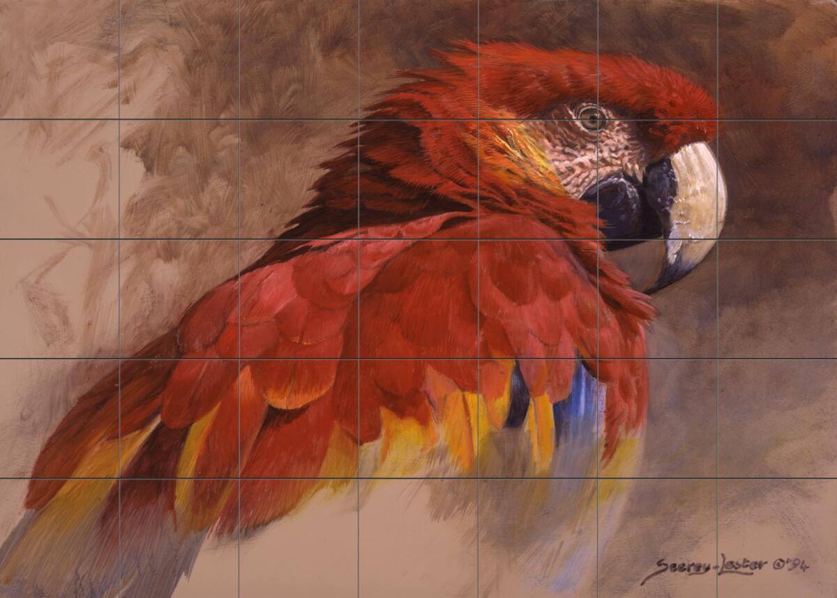 Tile Mural Kitchen Backsplash - Scarlett Macaw Study - by John Seerey ...